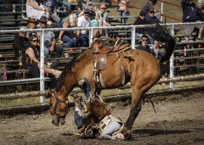 Women buck trend, look to grow rodeo sport of ranch bronc riding | News ...
